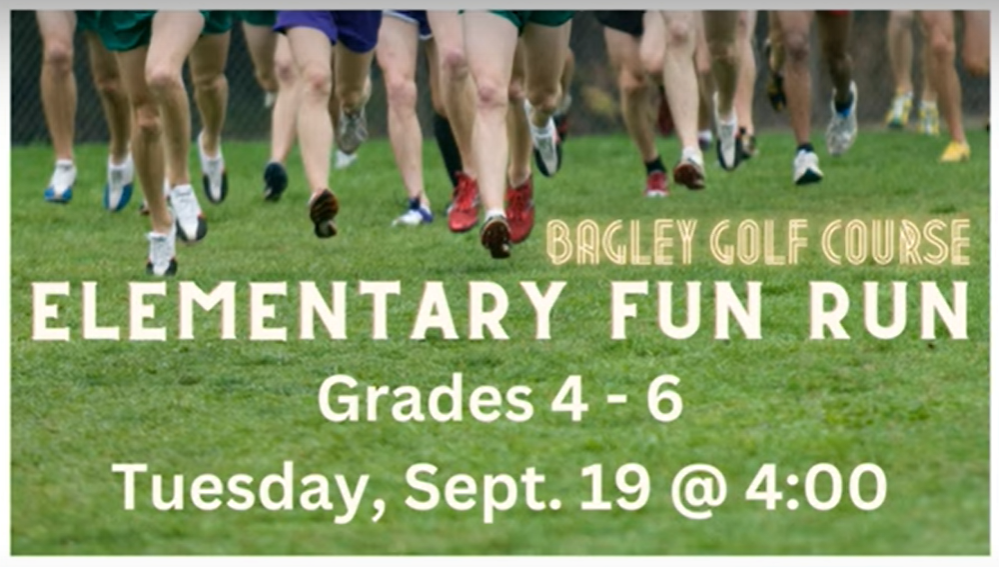 Live Feed | Bagley School District 162